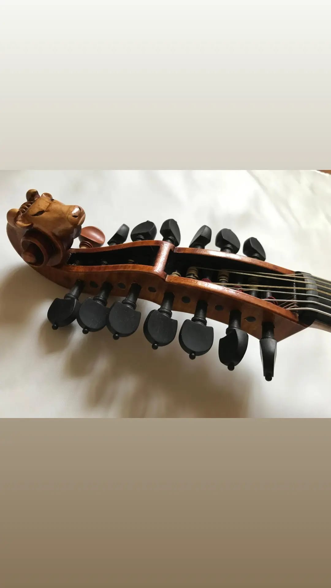 La viola d'amore: strumento versatile e dal fascino storico